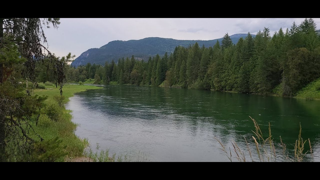 The Natural Beauty of Canada -Slocan-Valhalla Pines campground_BC-Bear ...