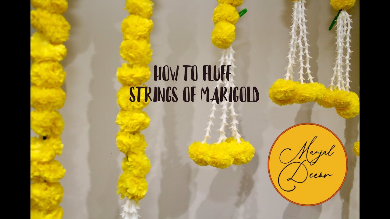 How to fluff strings of marigolds - YouTube