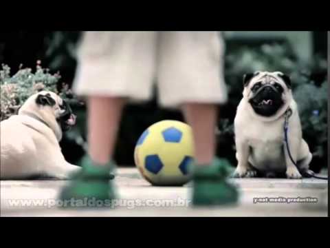 DZYN - Comercial de TV - Propaganda com Pug - YouTube