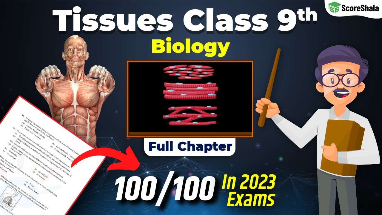 Tissues - Animal & Plant Tissues | Class 9 One-Shot Easiest Lecture ...