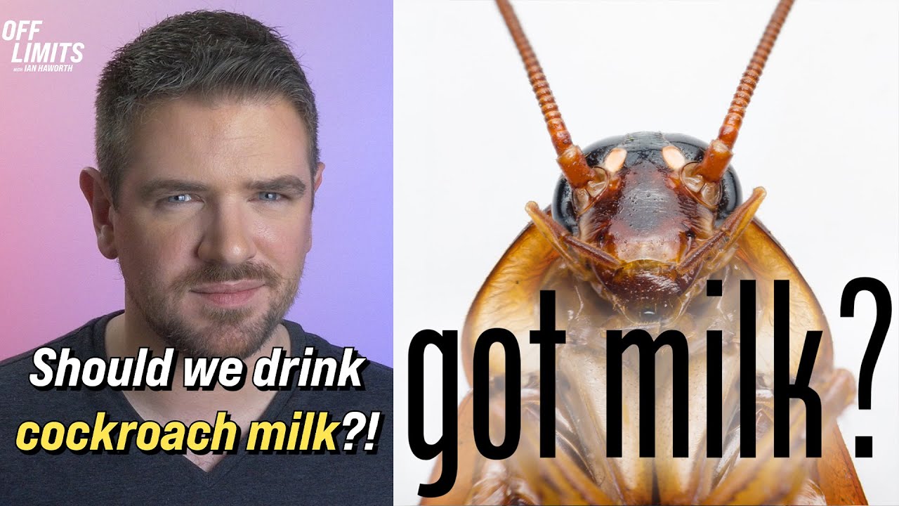 YUCK: Scientists Suggest We Drink Cockroach Milk - YouTube