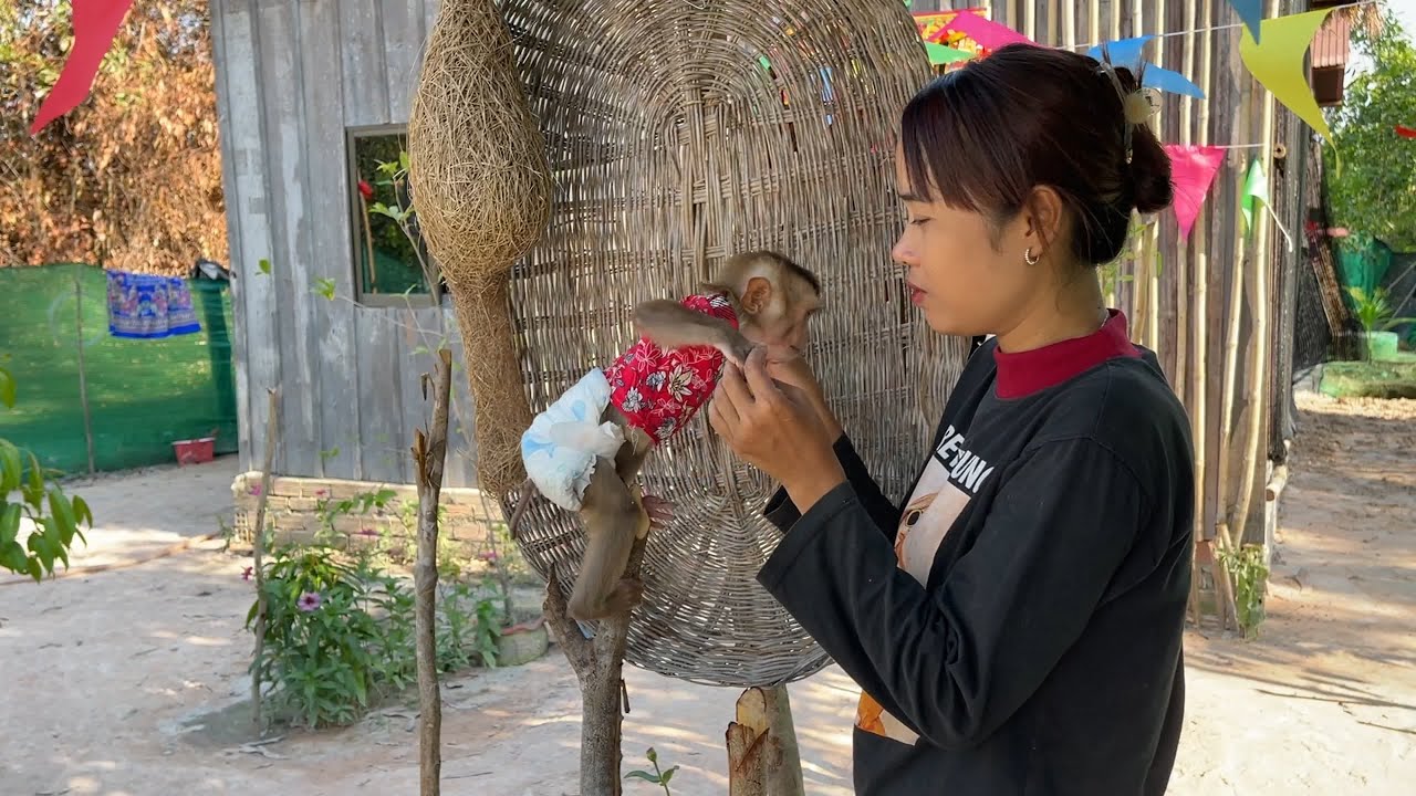 Baby Tav Tav Jumping So Fast To Hug His Lovely Mom #monkeyLove - YouTube