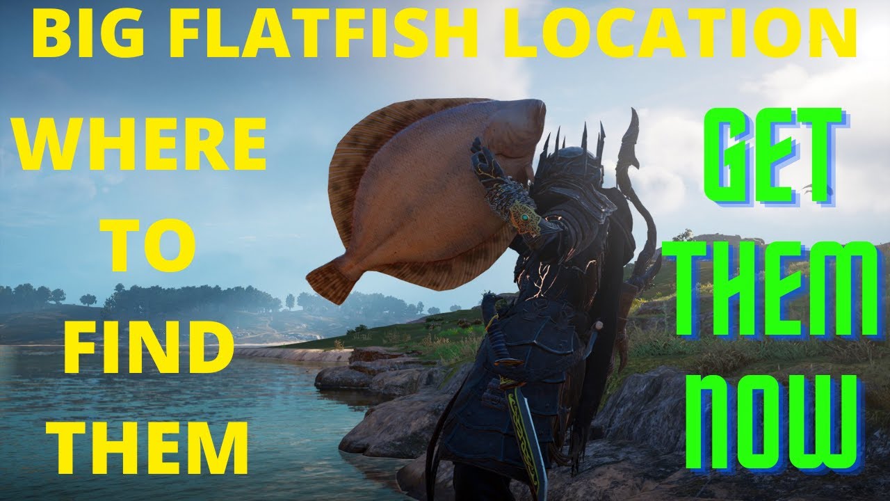 Big Flat fish Location in Assassins Creed Valhalla - YouTube