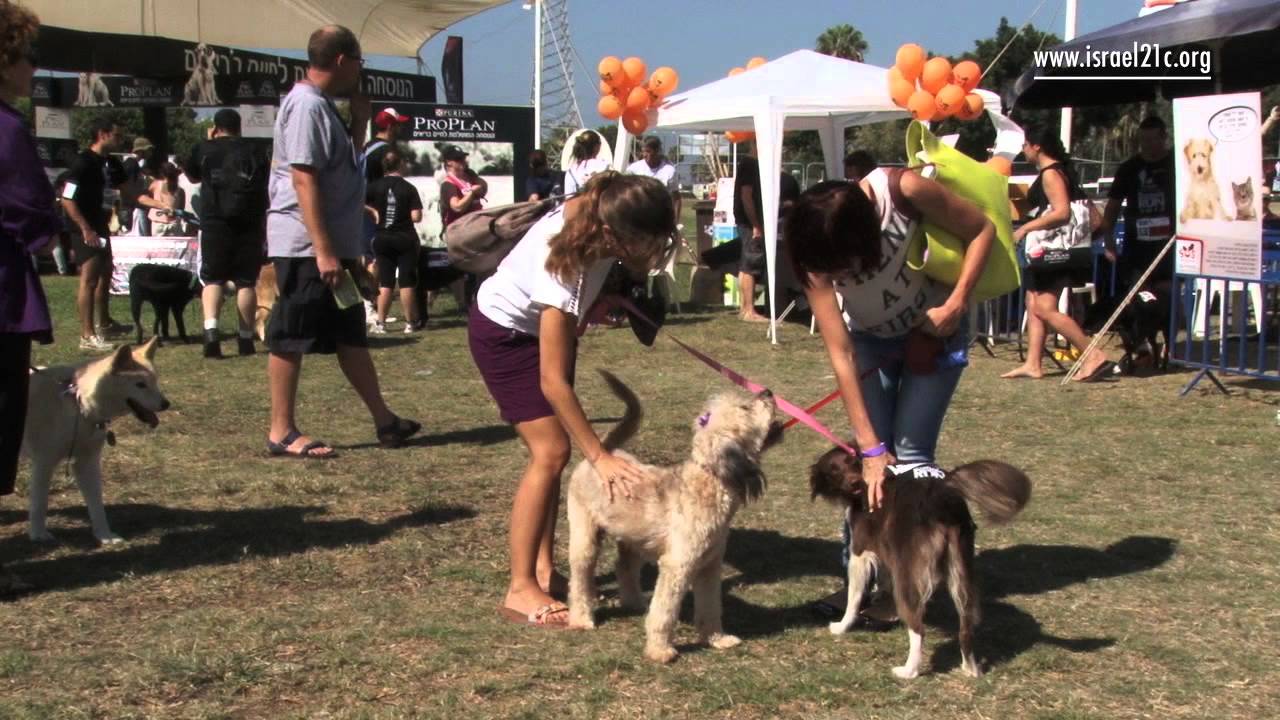 Tel Aviv's First Ever Dog Marathon - YouTube