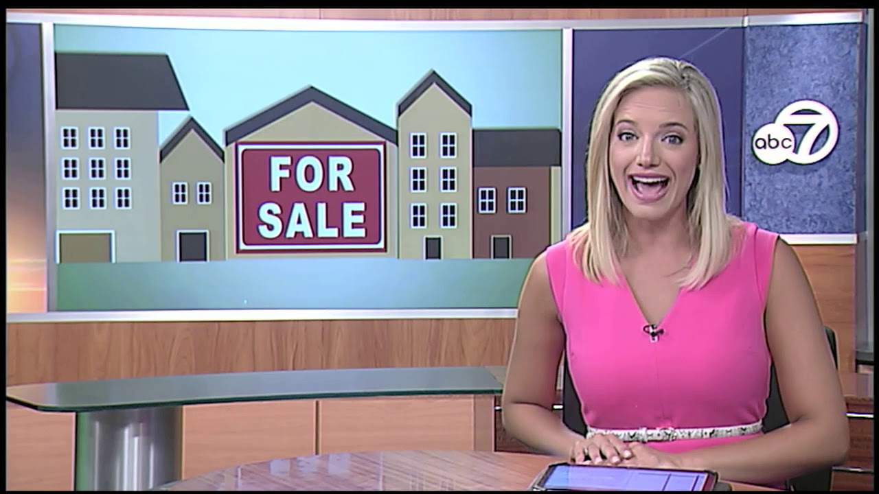 ABC7 WWSB News TV Interview - YouTube