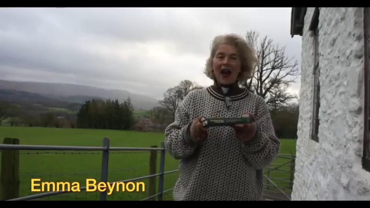 Emma Beynon on THE COLLECTED POEMS OF T. HARRI JONES - YouTube