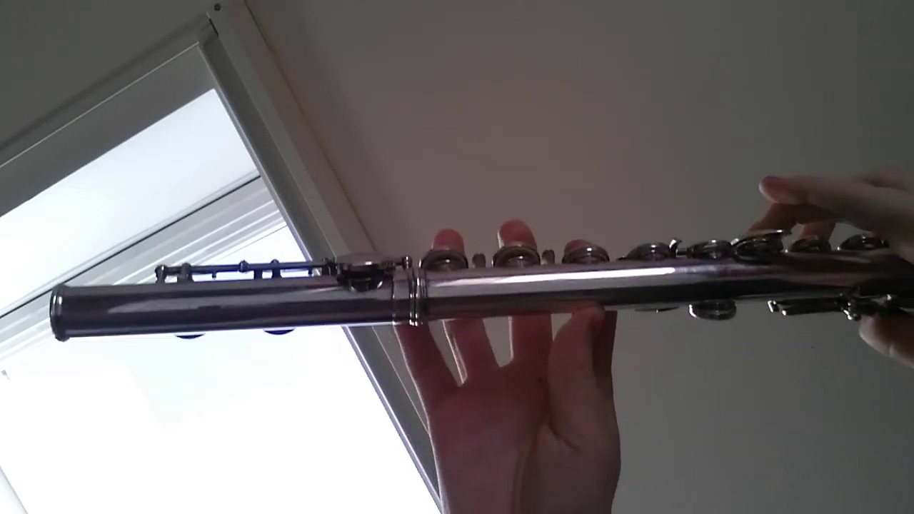 Hopes And Dreams and Save The World flute cover (REMAKE) - YouTube