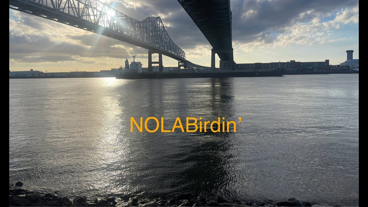 LIVE | A Walk on the Mississippi River West Bank of New Orleans - YouTube