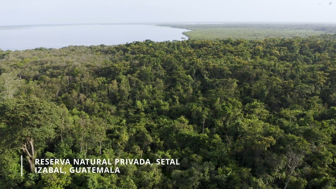 Reserva Natural Privada SETAL - YouTube