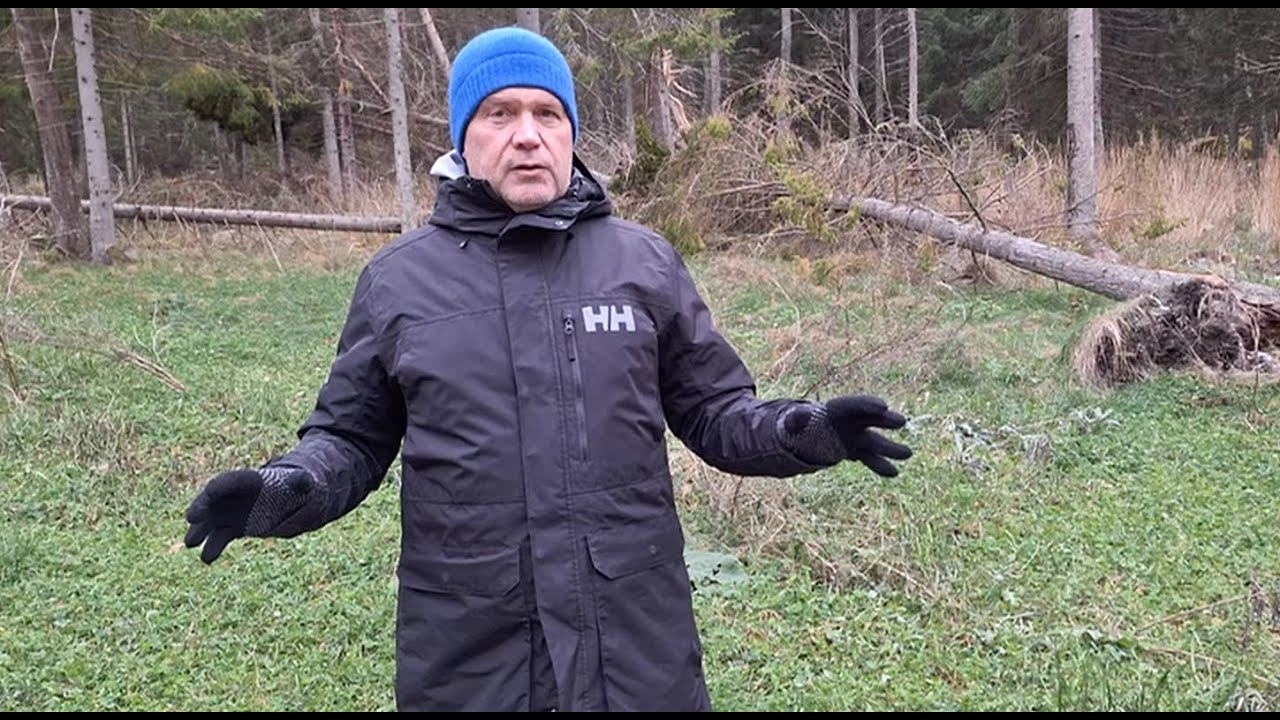 Jaak Sepp selgitab Tammelaane arenduse mõjusid põlismetsale - YouTube