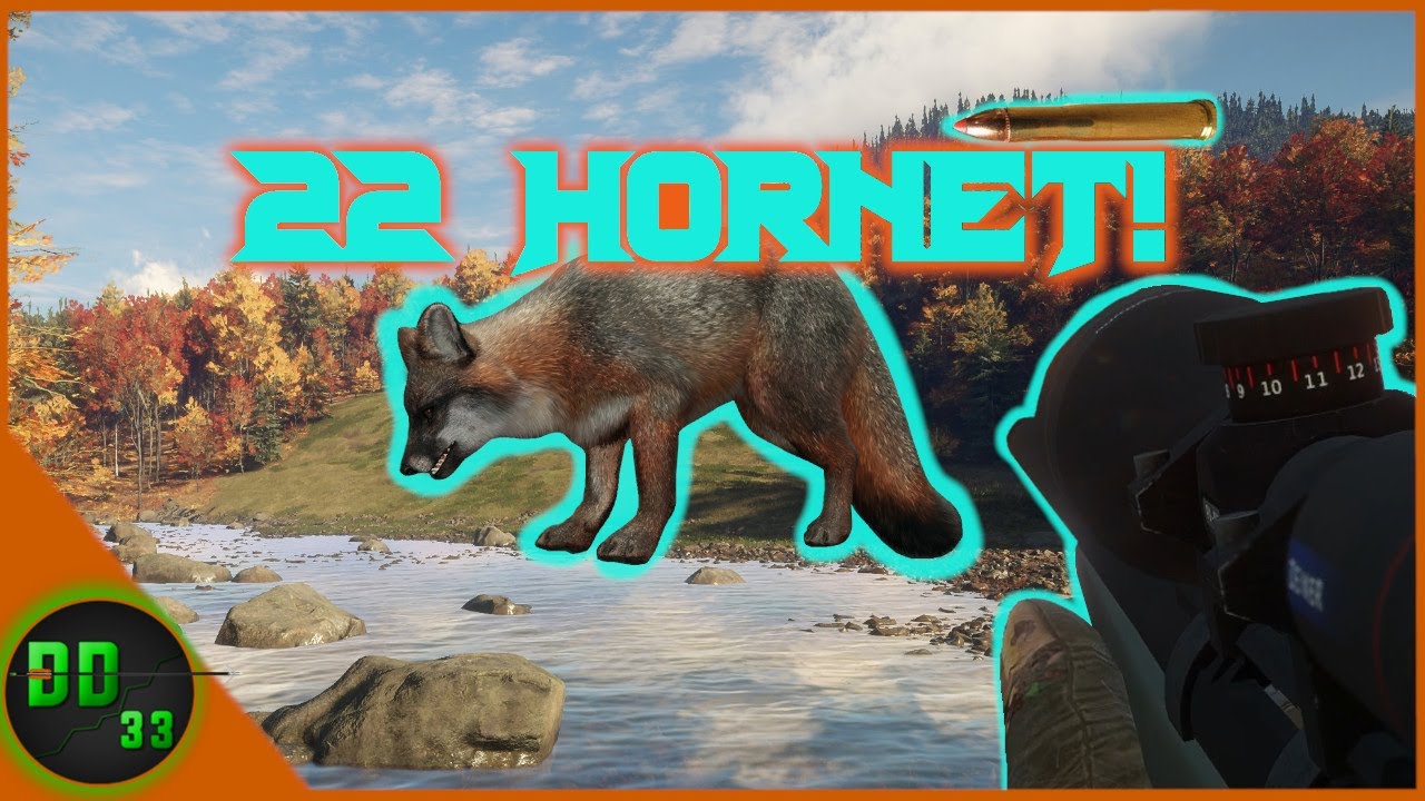 The Best Fox Rifle in Call Of The Wild! - YouTube