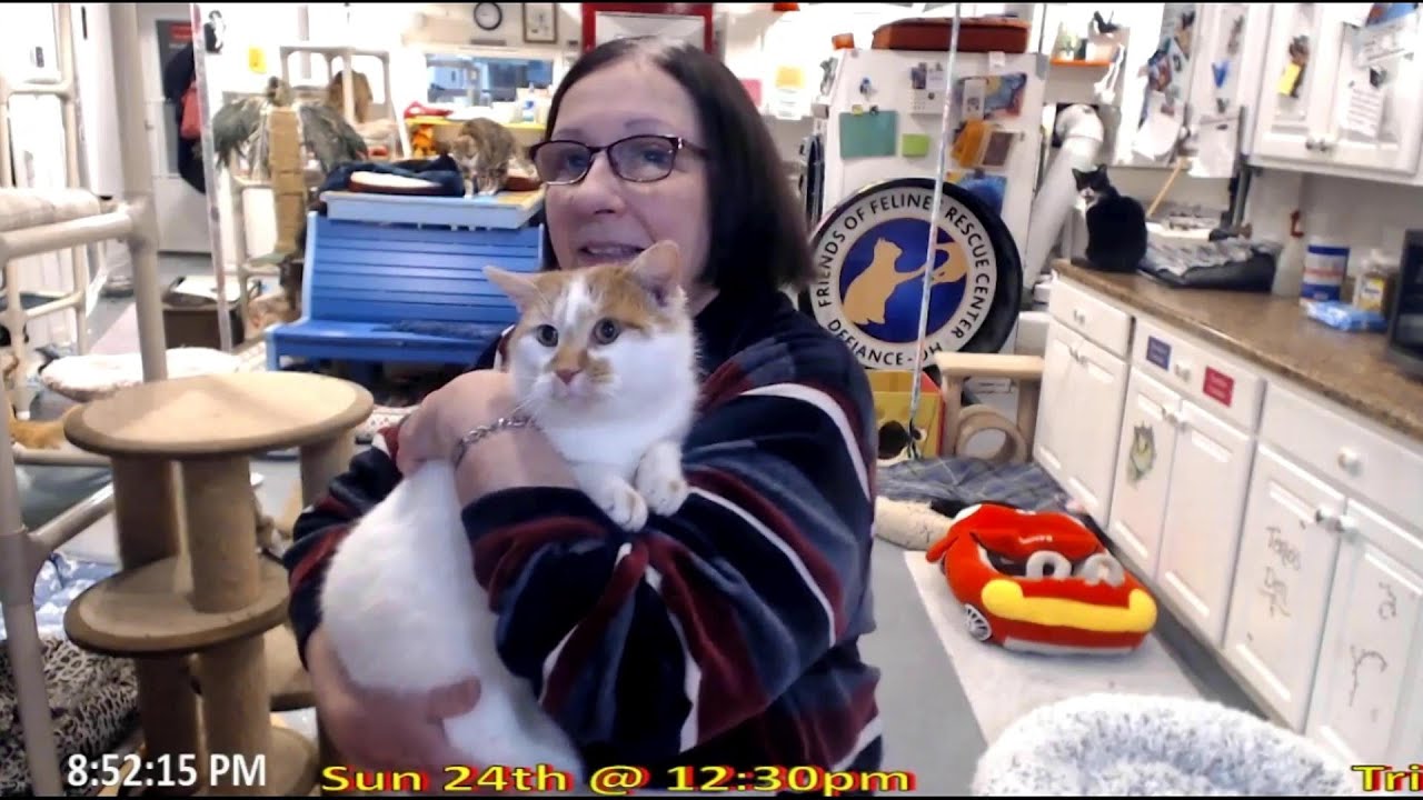 FFRC: Ringo & Debbie and Bub & Gem - YouTube