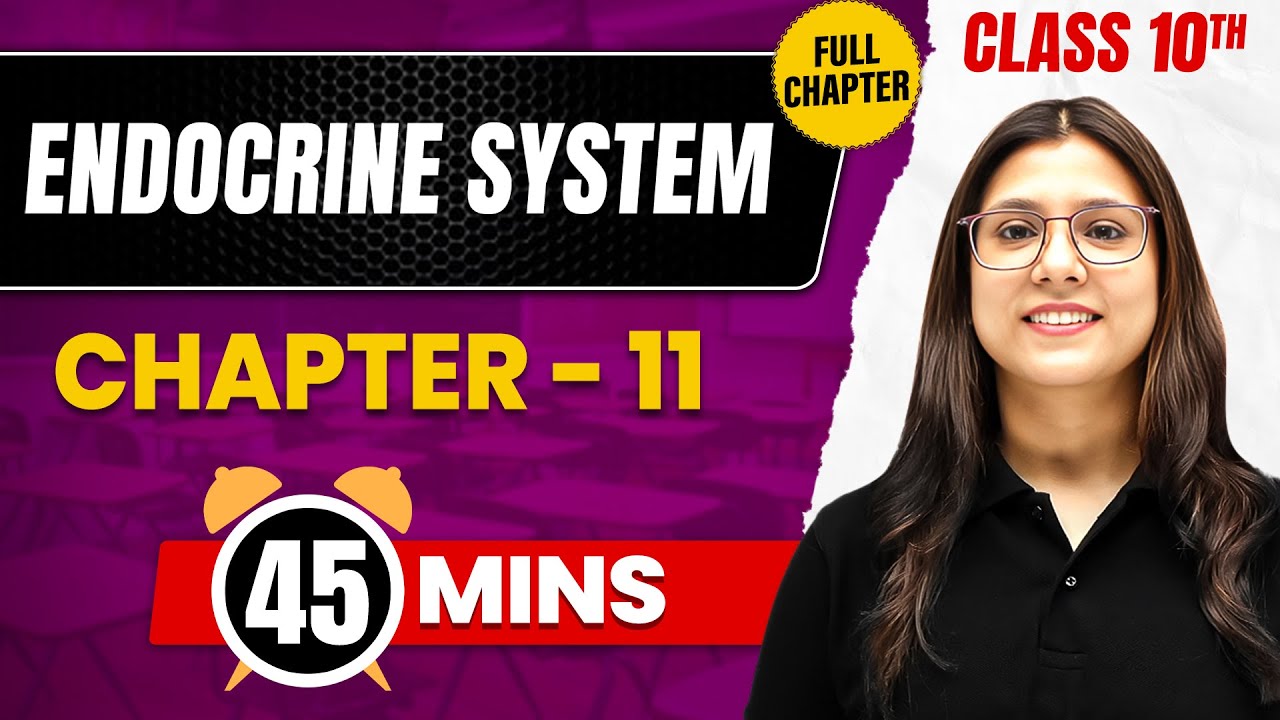ENDOCRINE SYSTEM In 45 Mins | Complete Chapter Mind Map | Class 10 ICSE ...