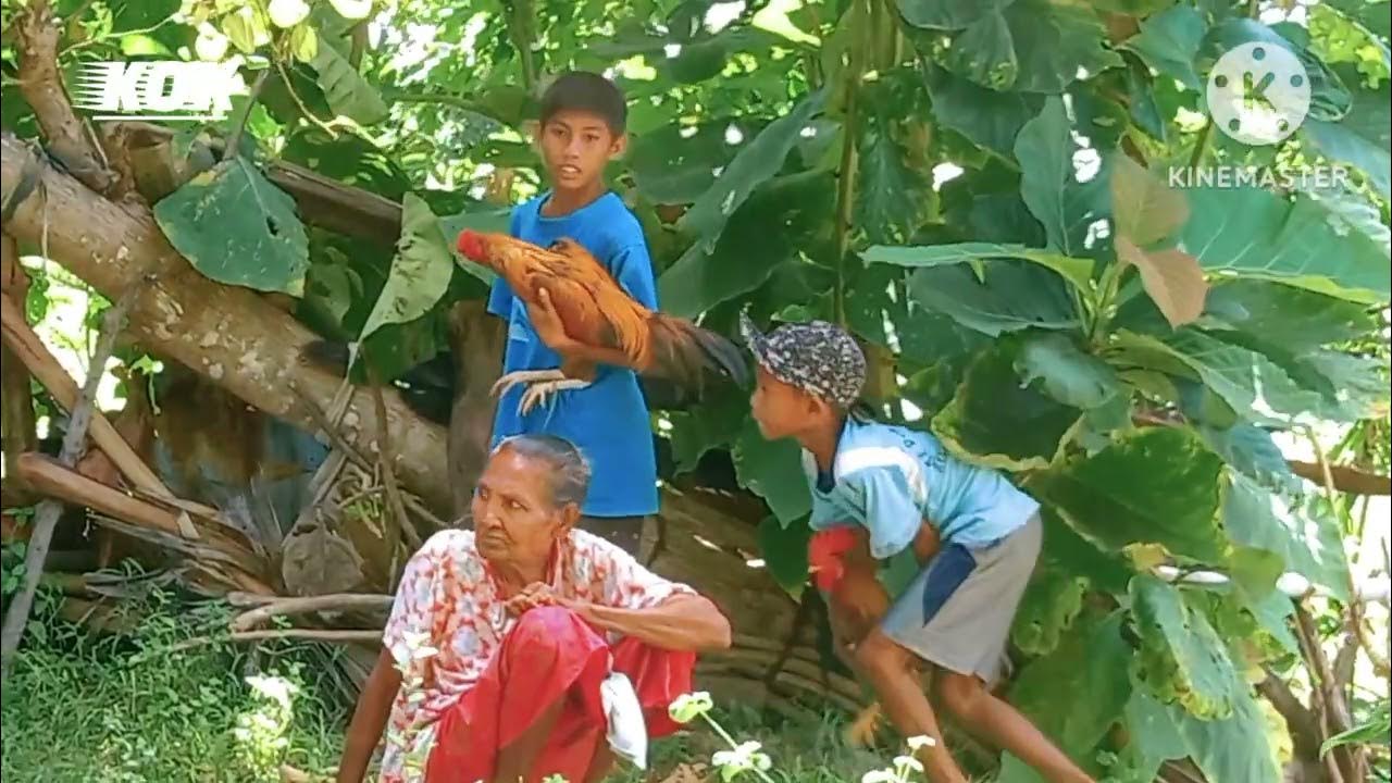 PELU MANU || Ritual Adat Kampung Namata || Sabu Raijua. - YouTube