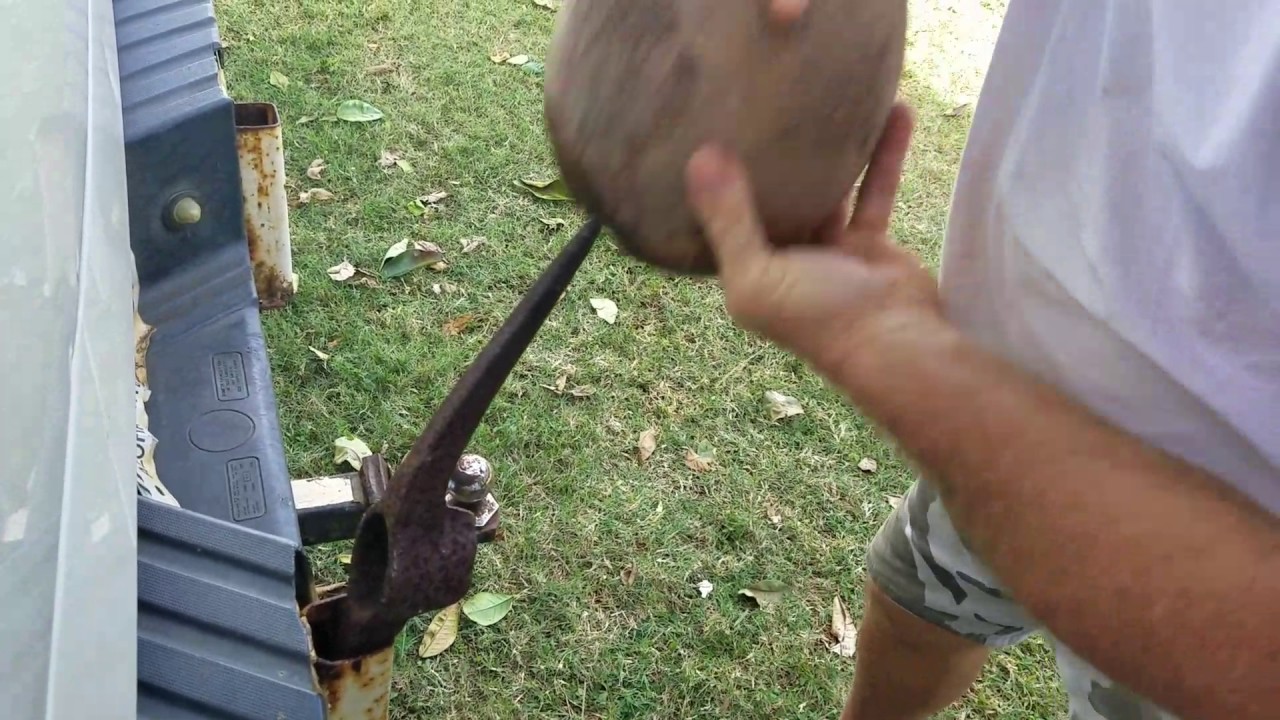 How to shuck a coconut - YouTube