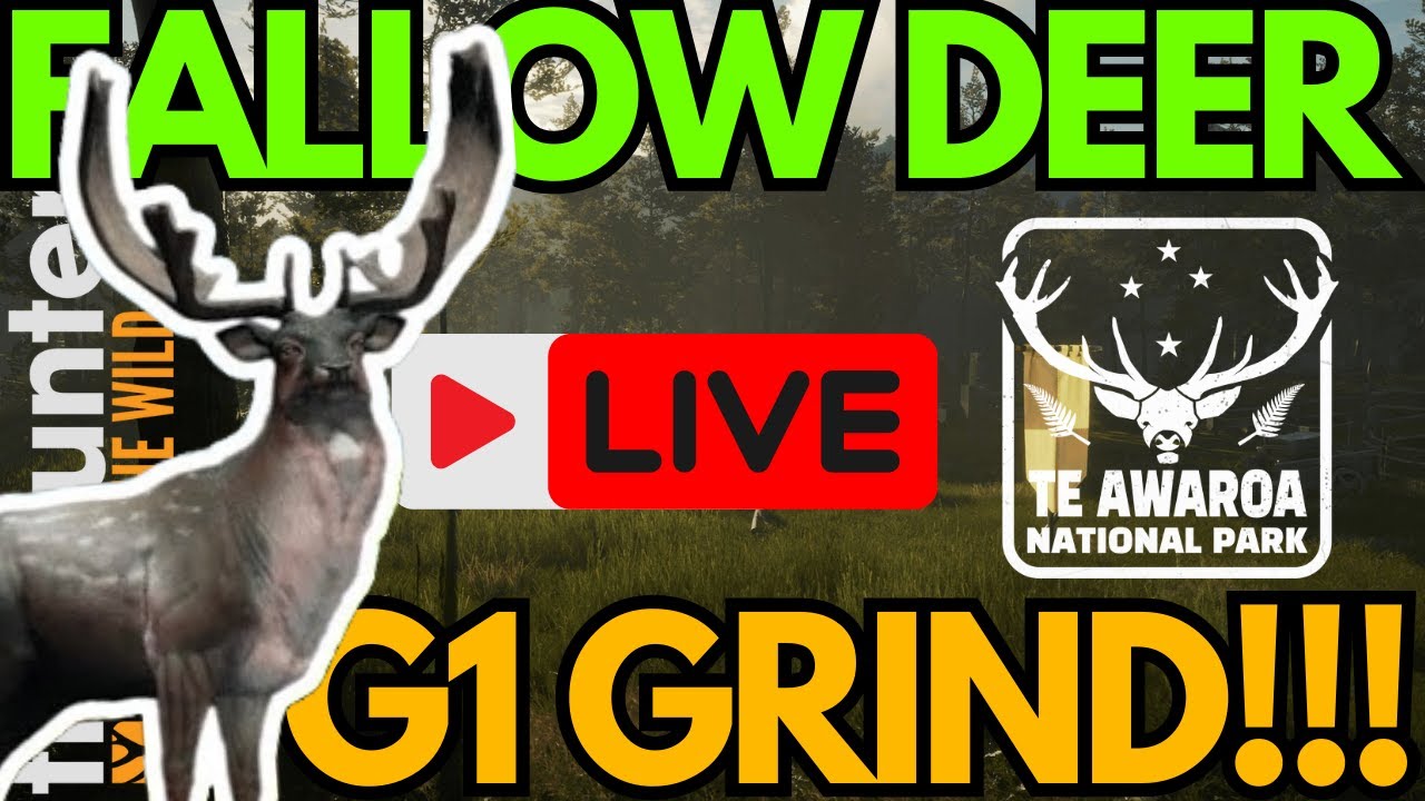 Lets Spawn THE FALLOW DEER GREAT ONE!! - Call of the Wild (Live) - YouTube