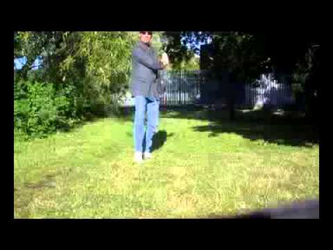 The Lee Style Tai Chi - Tai Chi Chuan Shu - YouTube