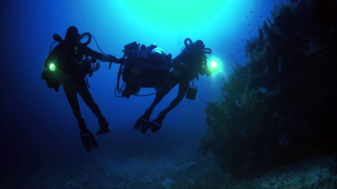 CORAL REEF ADVENTURE (Official Movie Trailer) - YouTube