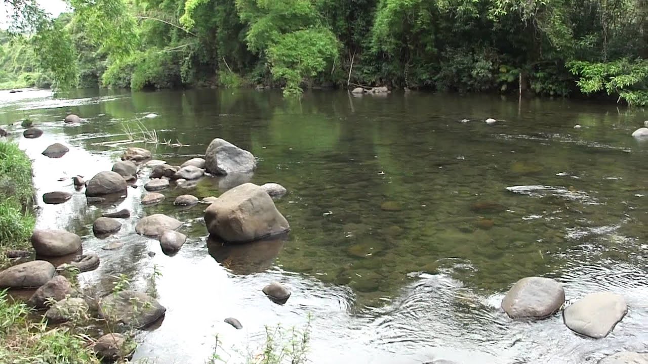 Ile de la Réunion,la Rivière des roches(St Benoit) - YouTube