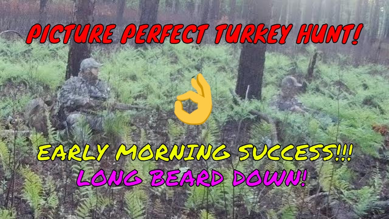 EARLY MORNING TURKEY HUNTING 2023 - YouTube