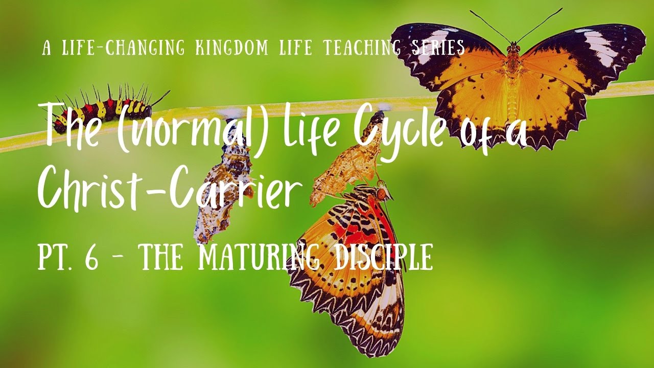 The (normal) Life Cycle of a Christ-Carrier (Pt. 6) - The Maturing ...