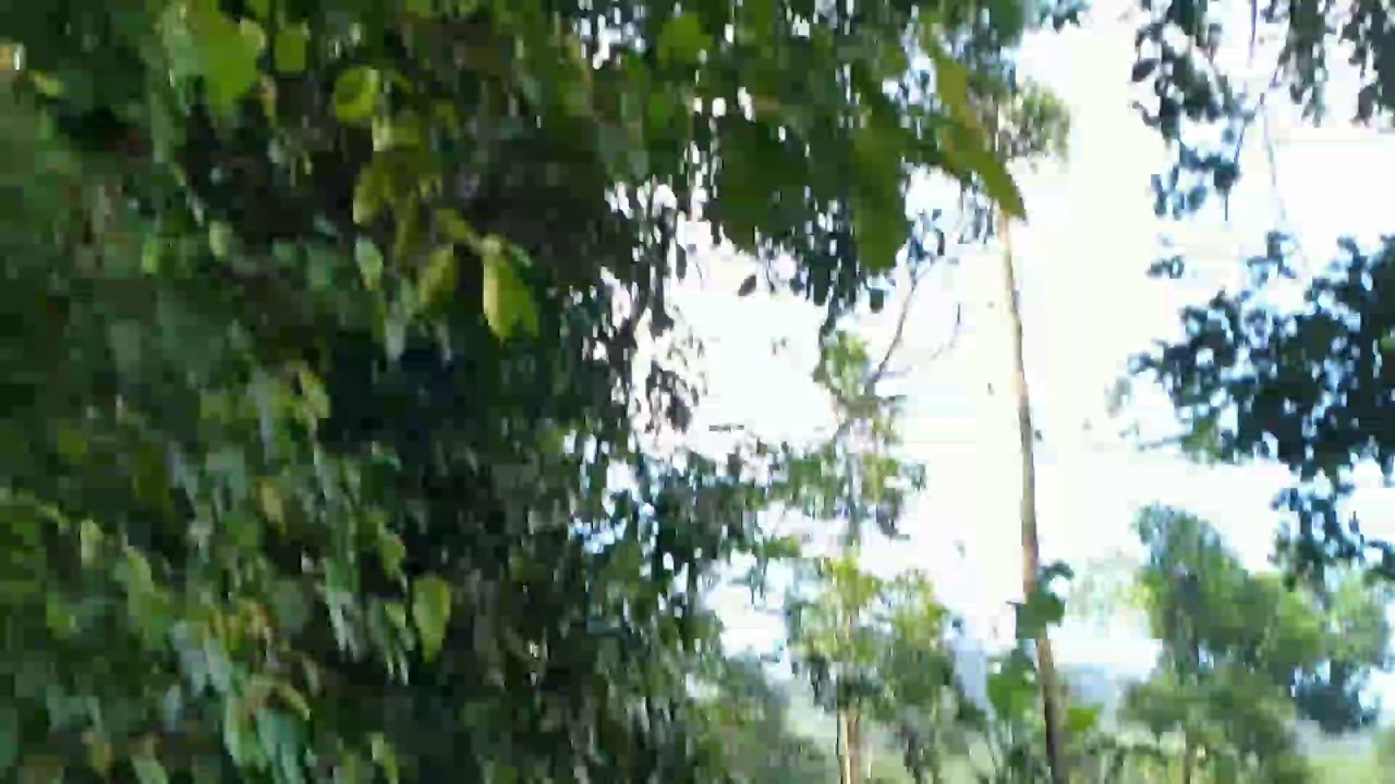 Batu Lempar, Godog, Garut || Feature Perjalanan || IPI Garut - YouTube