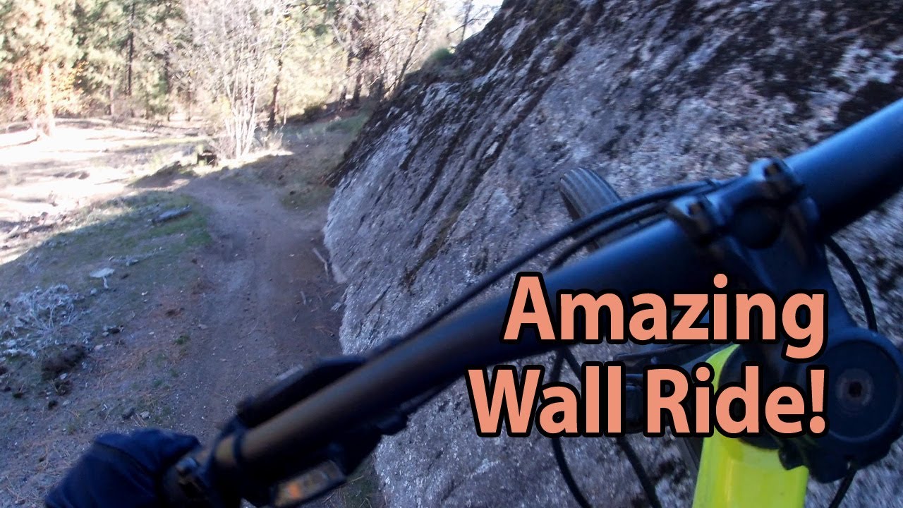 Amazing New Bike Trail I Found! (You Need to See This) - YouTube