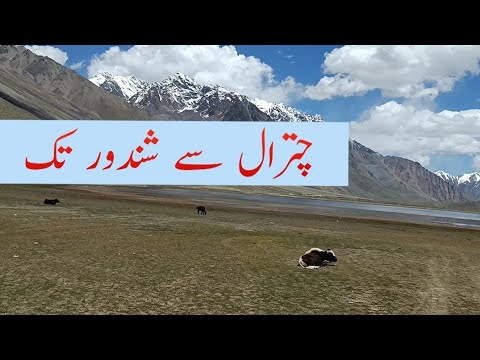 Chitral to Shandoor | jeep track