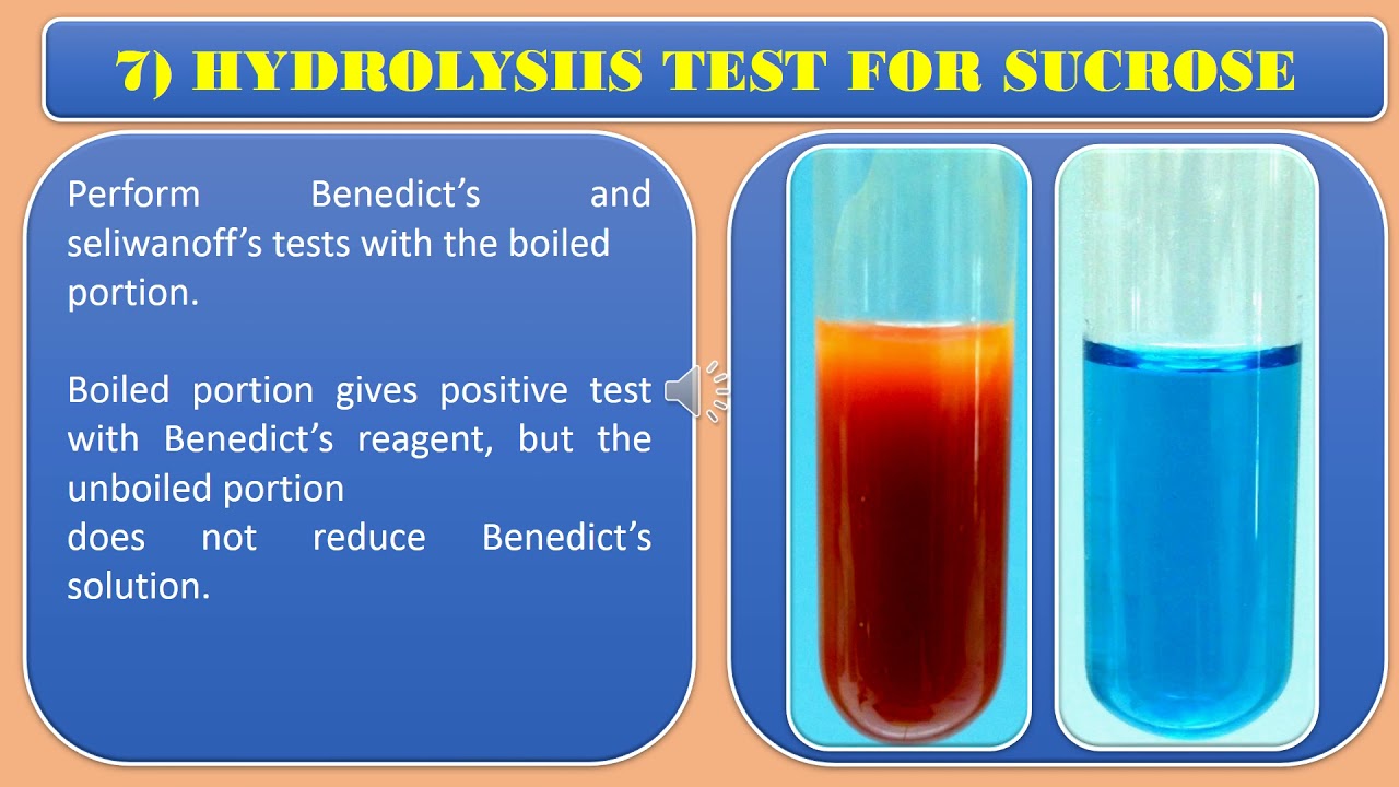 Carbohydrates Hydrolysis test - YouTube