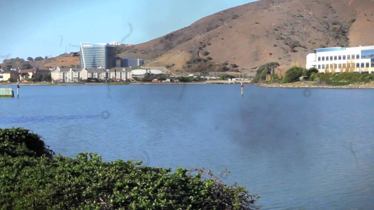 Simulation Vision with Floaters Video - YouTube