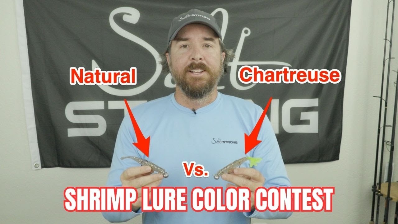 Chartreuse Tail VS. Natural Color Test [Power Prawn USA Shrimp Test ...