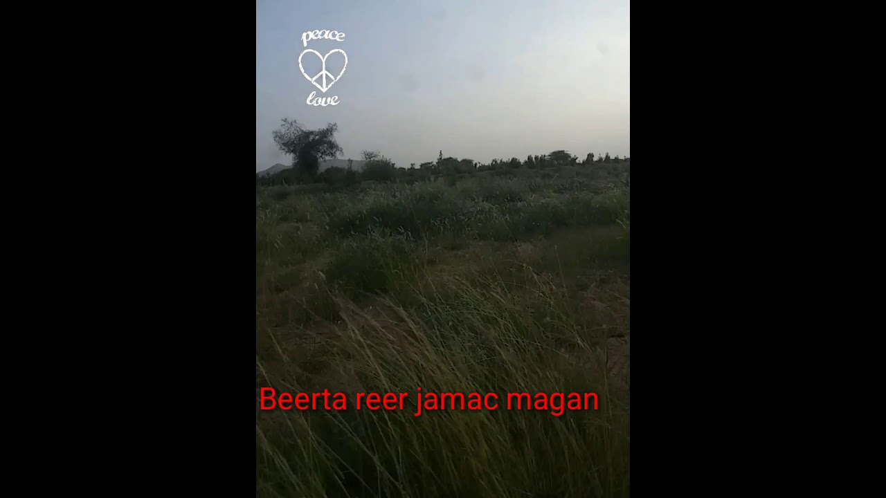 beeraha somaliland - YouTube