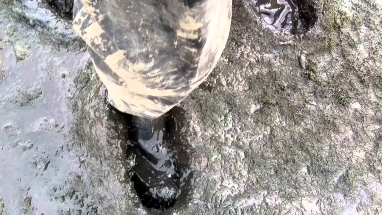 Blue Trim Century Waders in Estuary Mud - YouTube