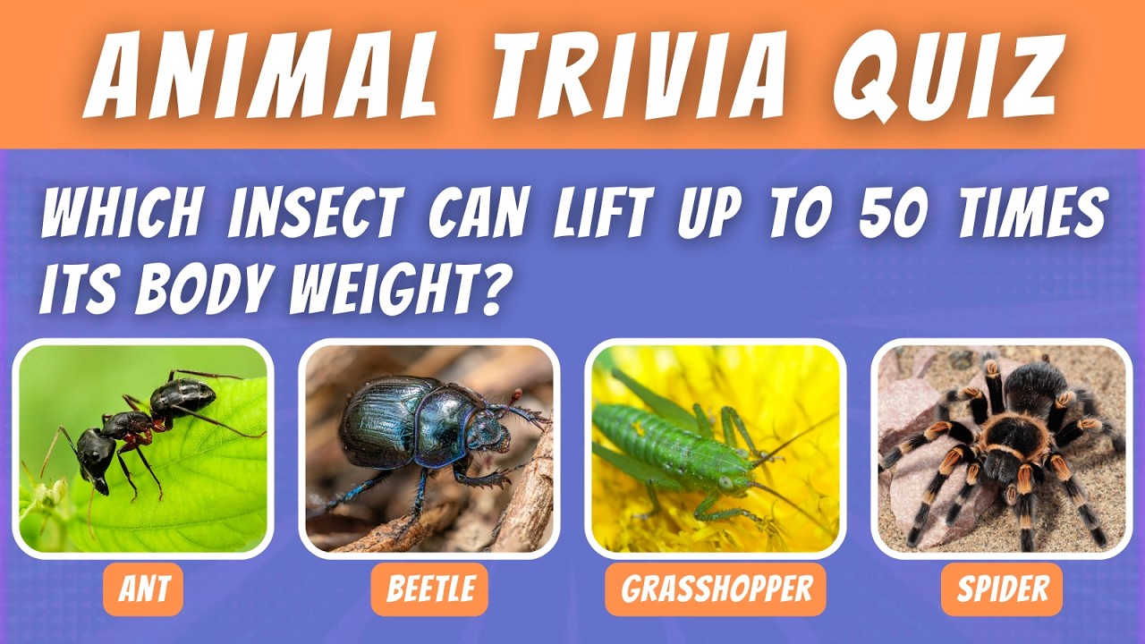 Animal Trivia Quiz | 100 Animal Knowledge Trivia Questions | Quiz ...