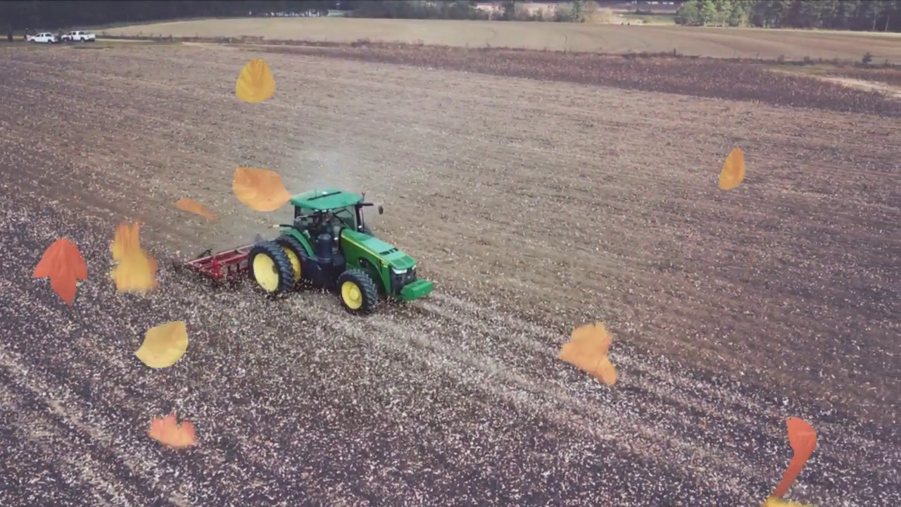 The ELIMINATOR Cotton Stalk Puller/Cotton Stalk Chopper - YouTube