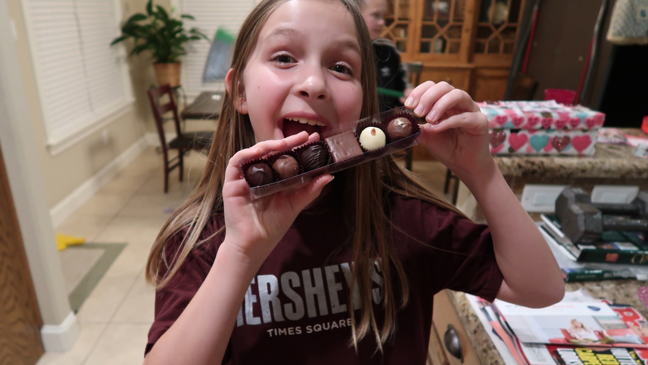 Taste Testing Chocolate After Livestream - YouTube