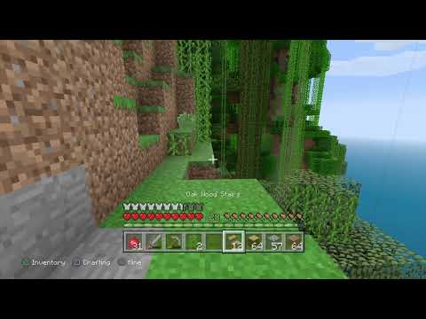 Minecraft: TU69 Tutorial World: #40: Path to the Temple - YouTube
