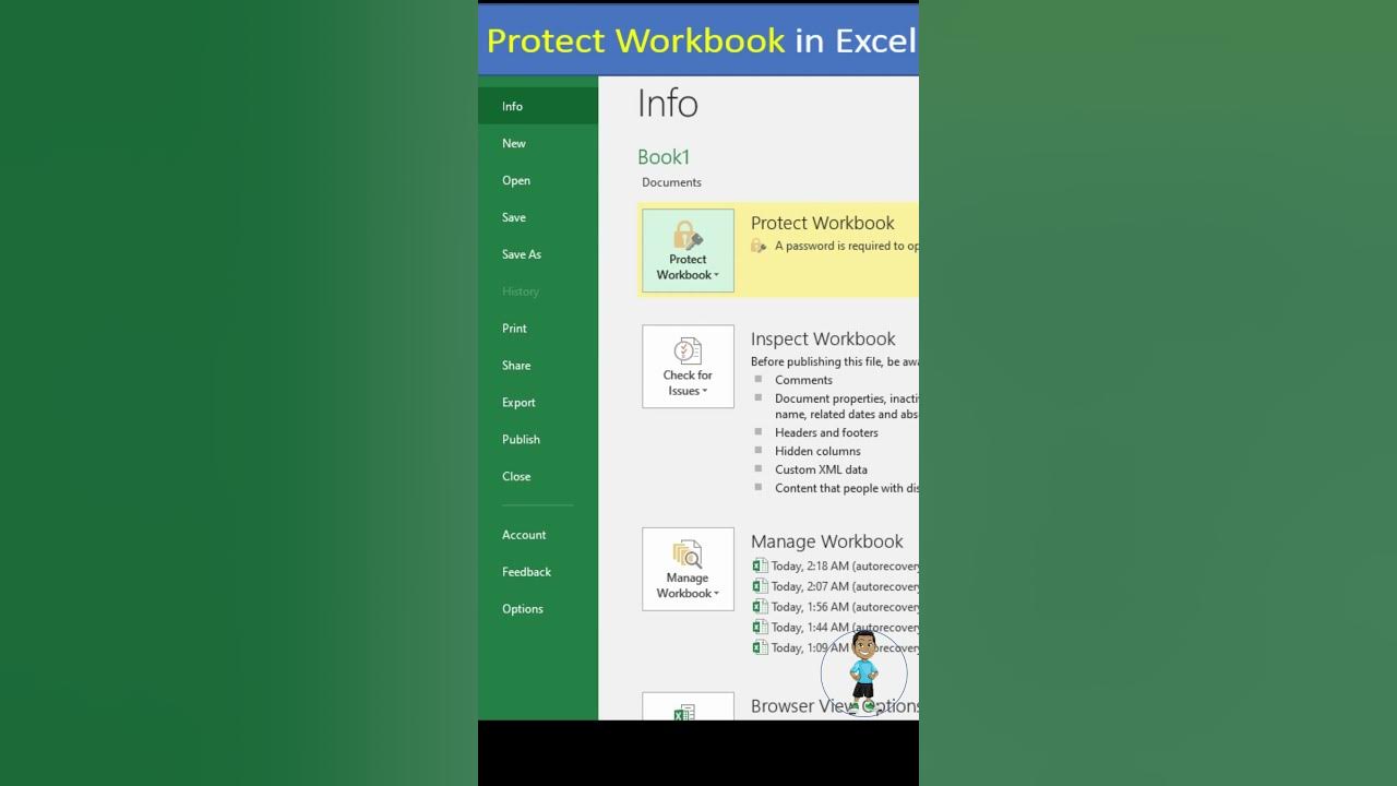 Excel Job Interview Questions Protect Workbook In Excel excel excel-job-interview-questions-protect-workbook-in-excel-excel