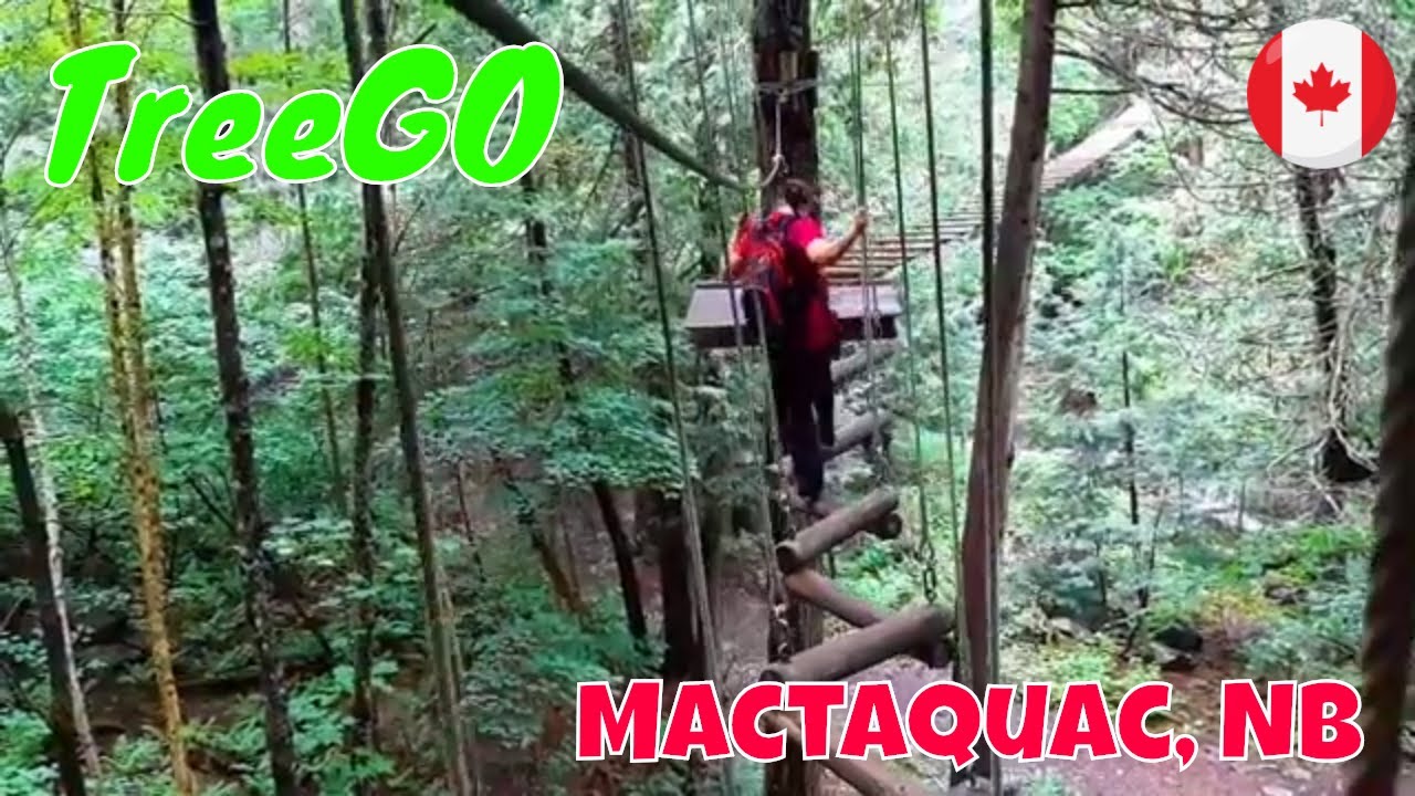 TreeGO Mactaquac 2018 - YouTube