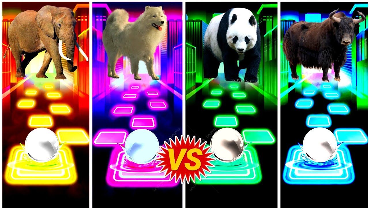 Funny Elephant 🆚 Funny Doge 🆚 Funny Pandas 🆚 Funny Cow.Who In The Best👍 ...