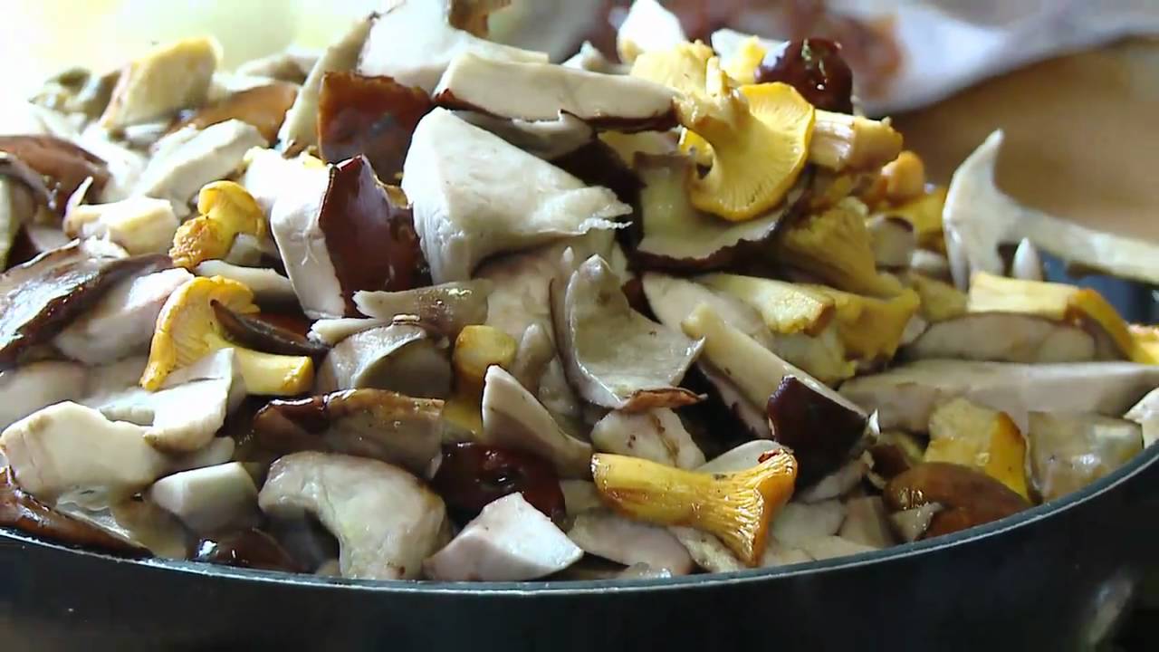 Pilze zubereiten, Pilzrezept schnell und lecker! - YouTube