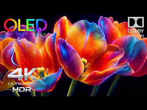 NO ONE Has Seen This 4K OLED Demo 🤯 | Epic 4K Video HDR 240FPS TV Test