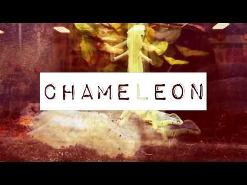 CHAMELEON OFFICIAL Music Video