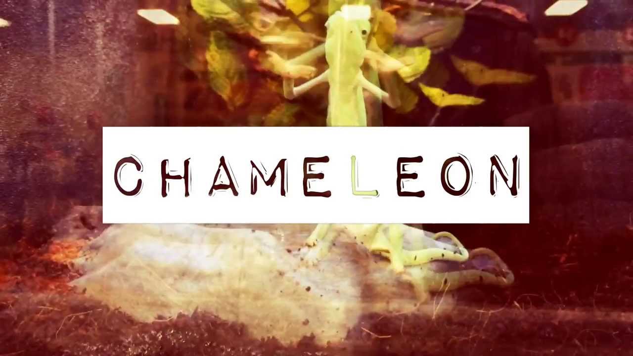 CHAMELEON OFFICIAL Music Video - YouTube