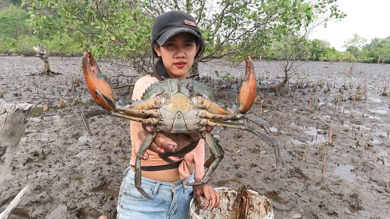 Lucky - Amazing Catch Huge Mud Crabs at Swamp after Water Low Tide | A ...
