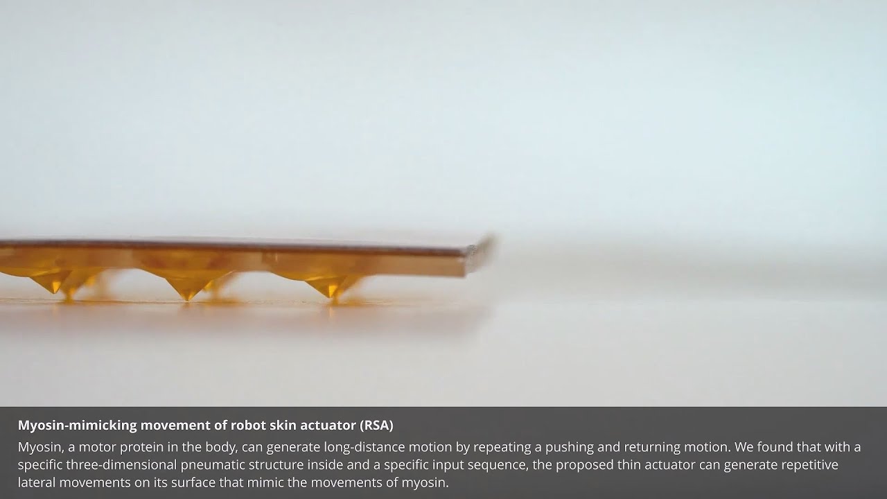 Soft and flexible robot skin actuator using multilayer 3D pneumatic ...
