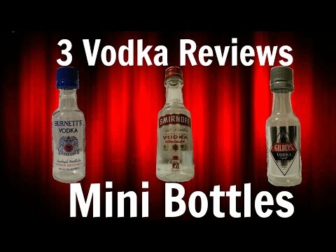 Reviewing Mini Vodka Bottles (Smirnoff, Burnett's, Gilbey's)