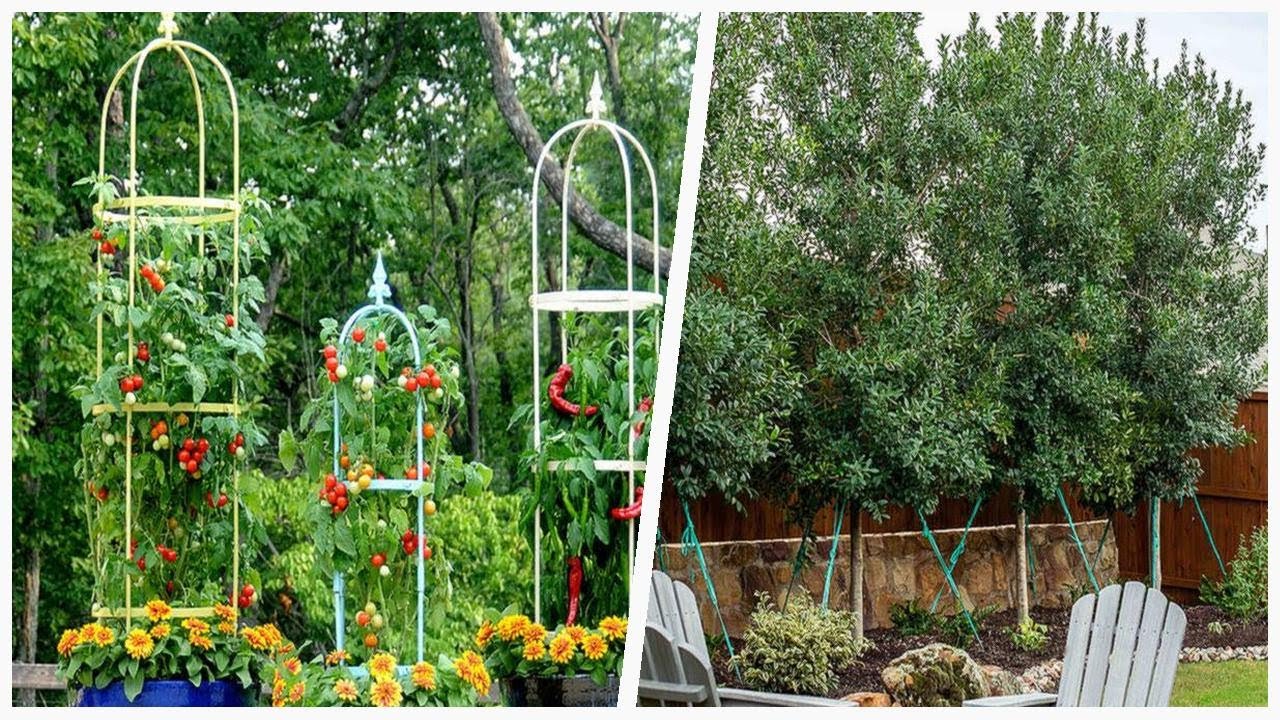 75 Transitional Green Landscaping Design Ideas You'll Love 😊 - YouTube