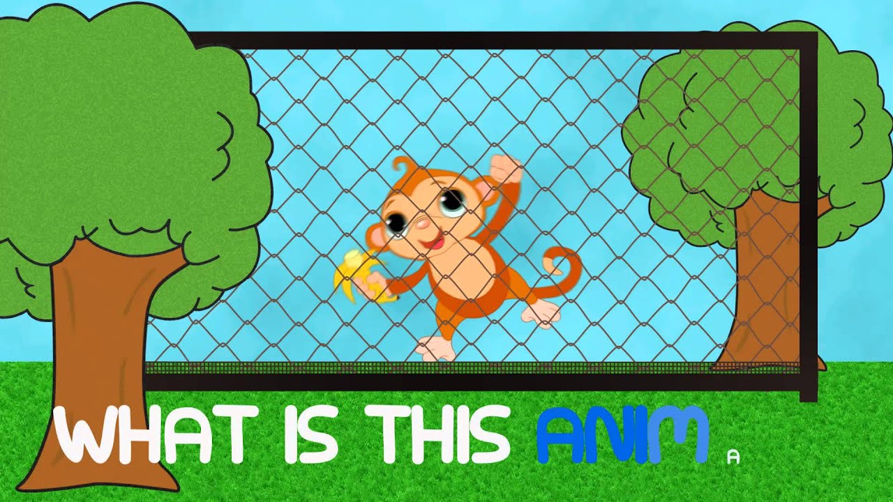 Programme For Baby TV - YouTube