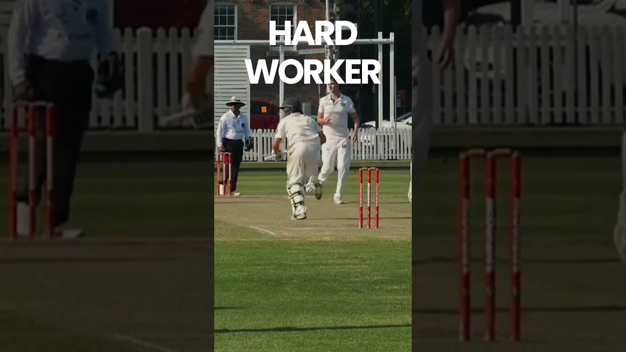 Homepage - Manly Warringah District Cricket Club